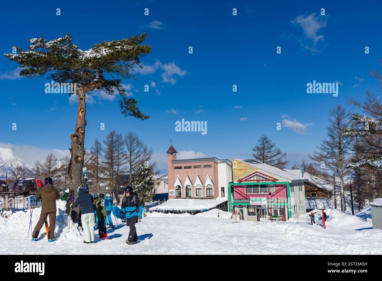 MADARAO, JAPAN - FEBRUARY 14 2025: Skiers and snowboarders at the ...