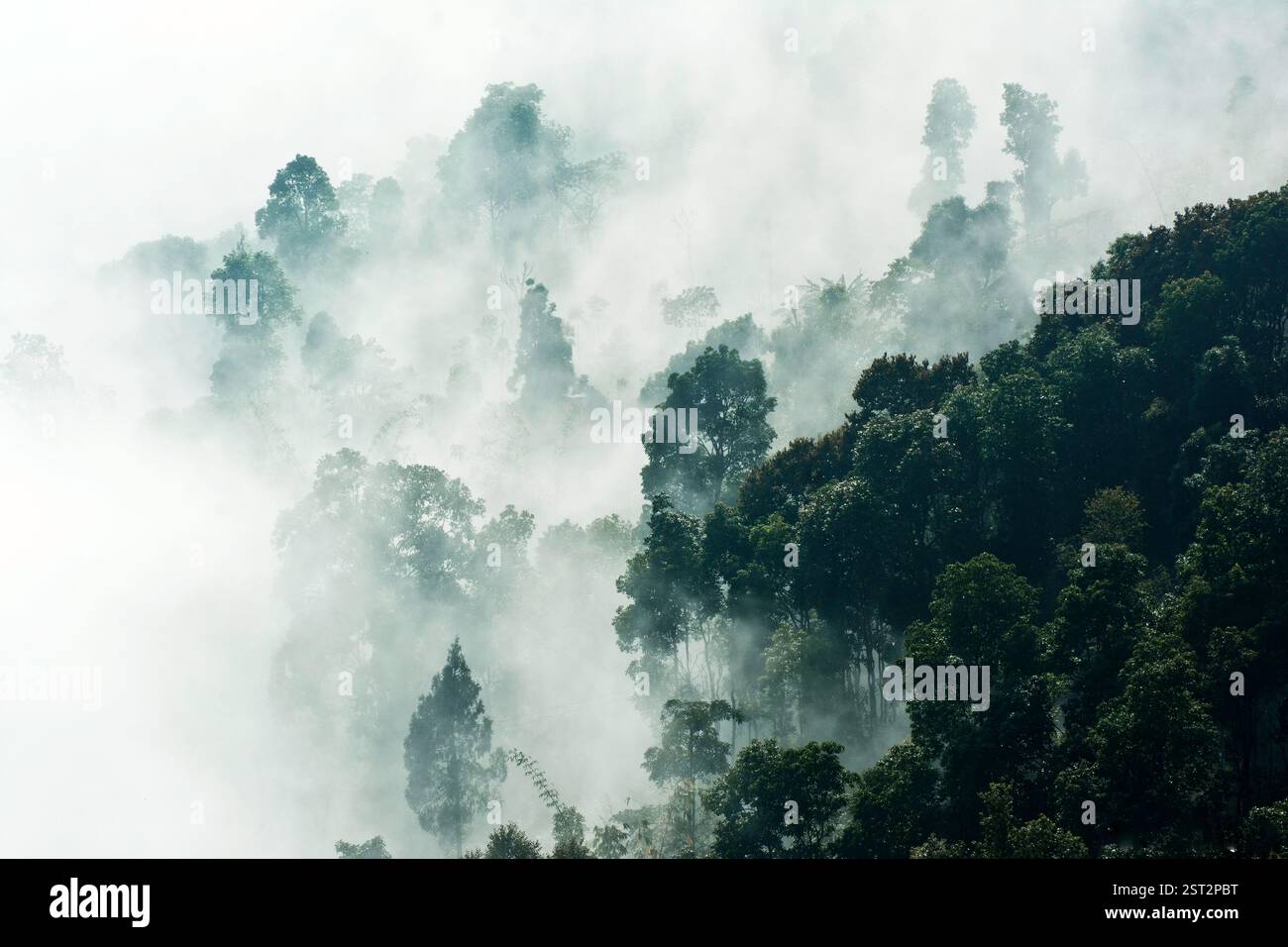 Fog is natures veil hi-res stock photography and images - Alamy