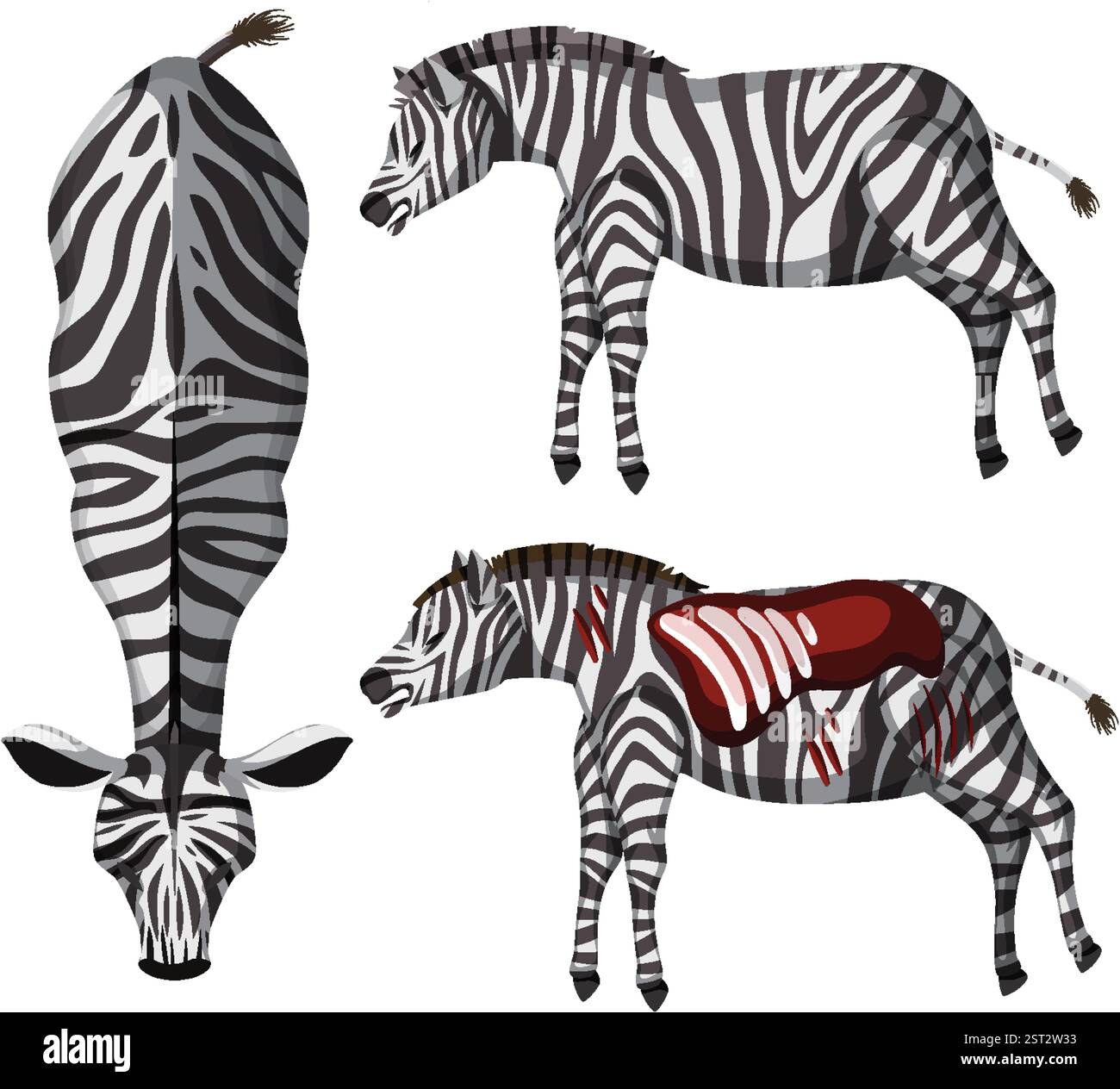 Unique wildlife behavior Cut Out Stock Images & Pictures - Alamy