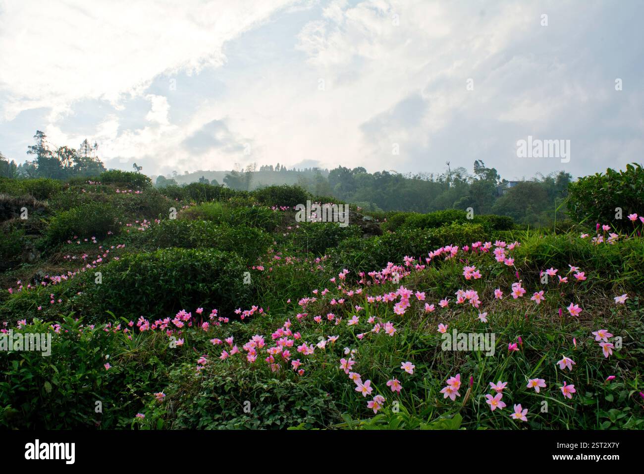 Landscapes after rain hi-res stock photography and images - Alamy