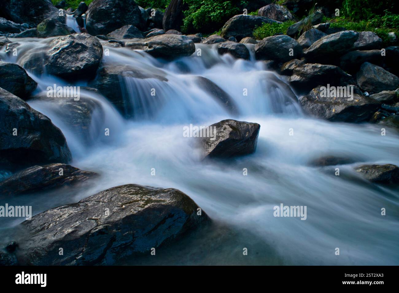 The smooth flower of river Stock Photo - Alamy