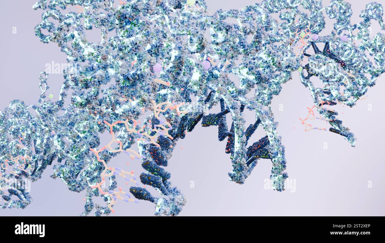 Molecular structure of human antigen protein p53 complexed with DNA ...