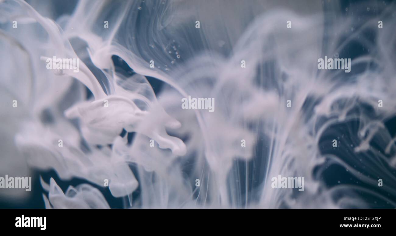 Splash bubbles paint. Blur ink water. Defocused white blue color shine ...