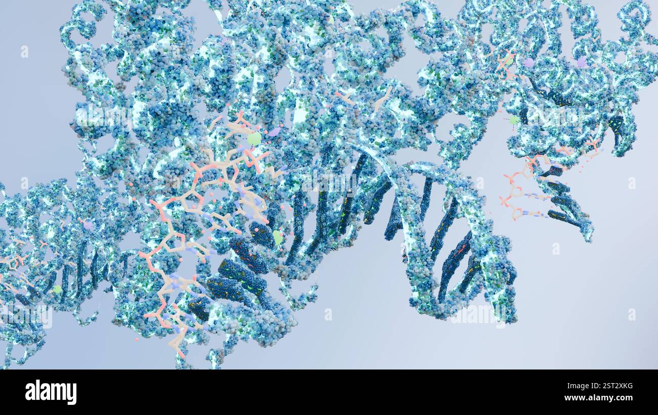Molecular structure of human antigen protein p53 complexed with DNA, biological concept ...