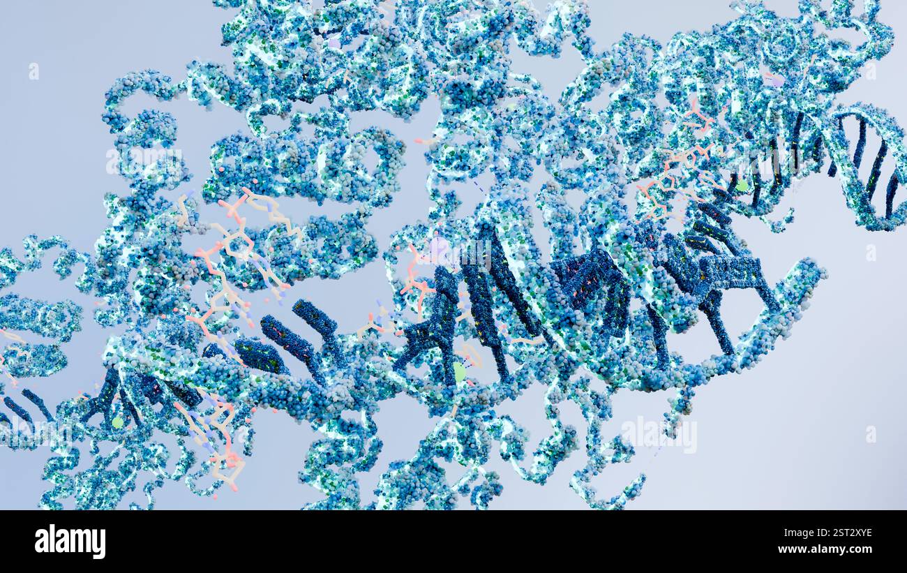 Molecular structure of human antigen protein p53 complexed with DNA, biological concept ...