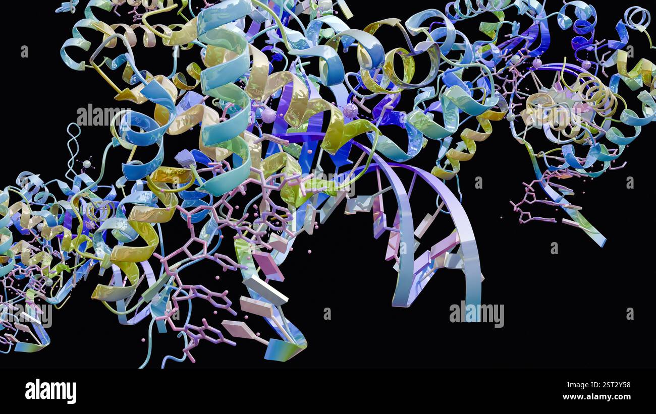 Molecular structure of human antigen protein p53 complexed with DNA, biological concept ...