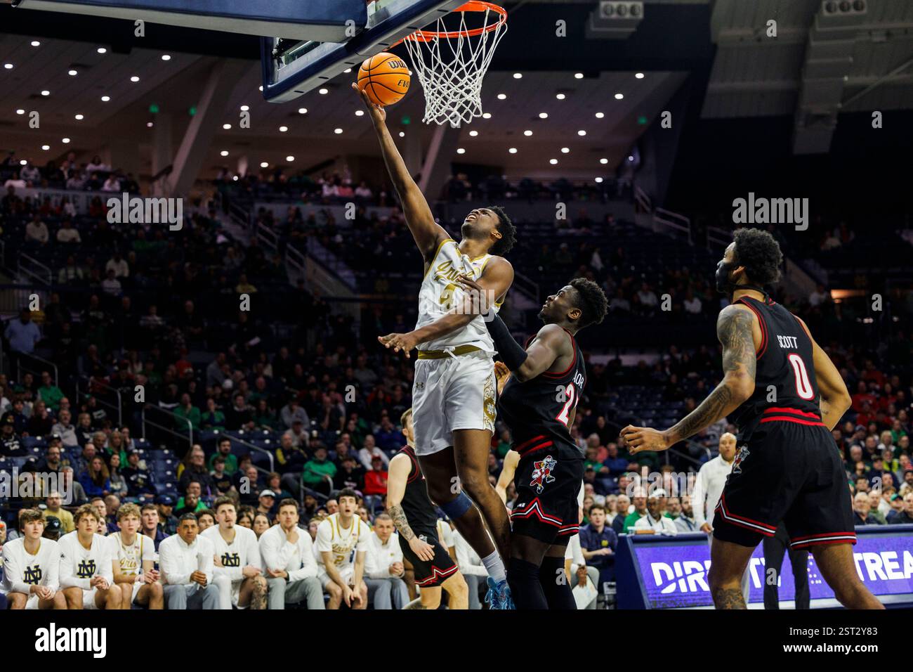 South Bend, Indiana, USA. 16th Feb, 2025. Notre Dame guard Sir Mohammed (4) goes up for a shot ...