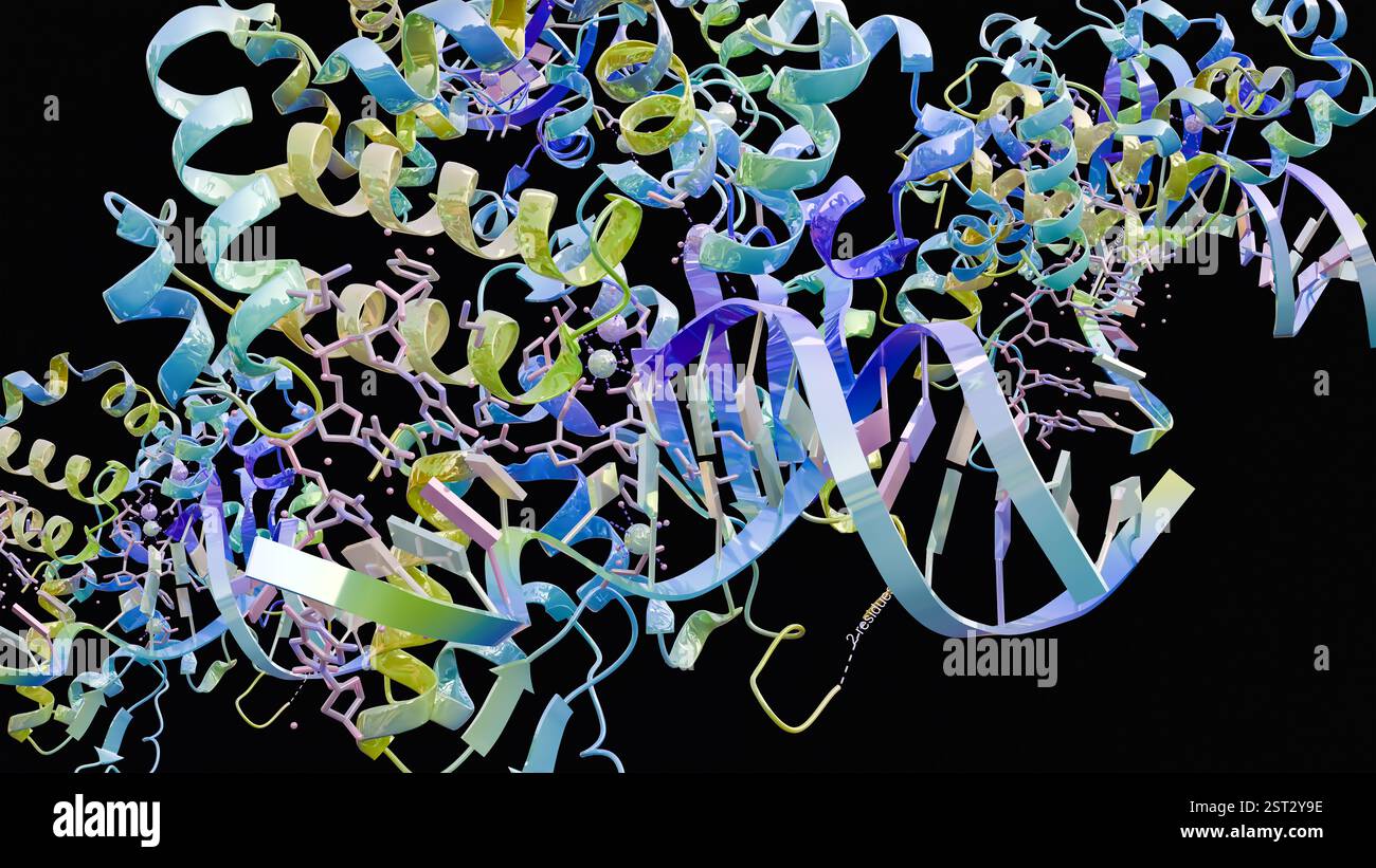 Molecular structure of human antigen protein p53 complexed with DNA, biological concept ...