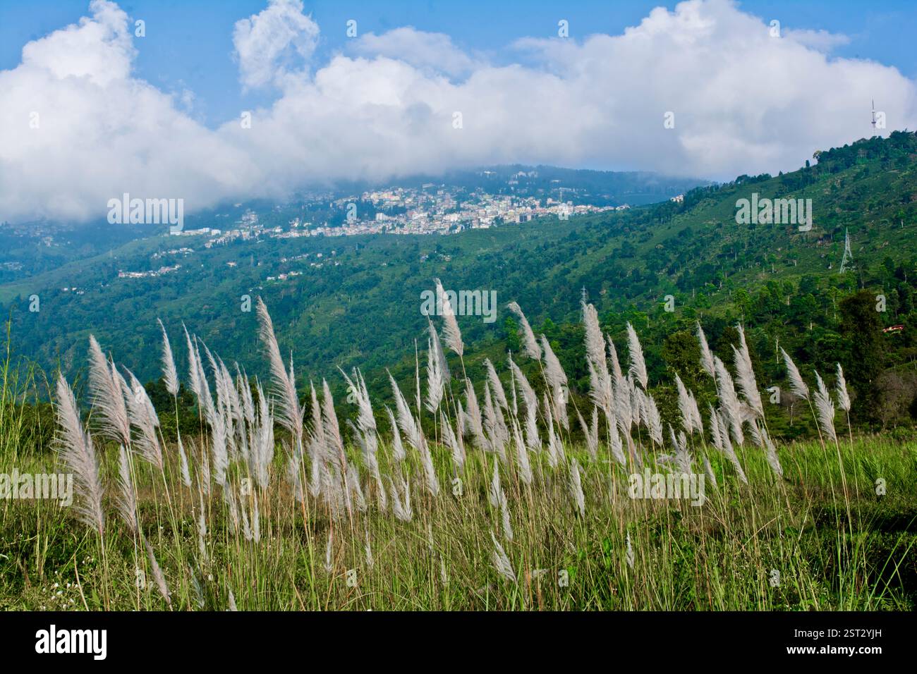 Kurseong town view from ambootia hi-res stock photography and images ...