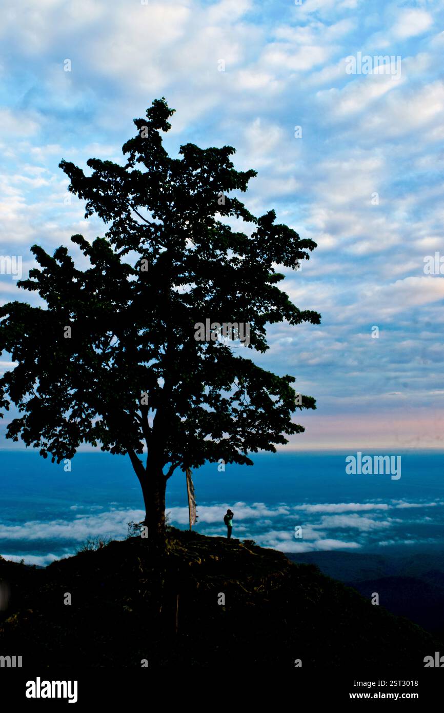 Lonely man tree dramatic hi-res stock photography and images - Alamy