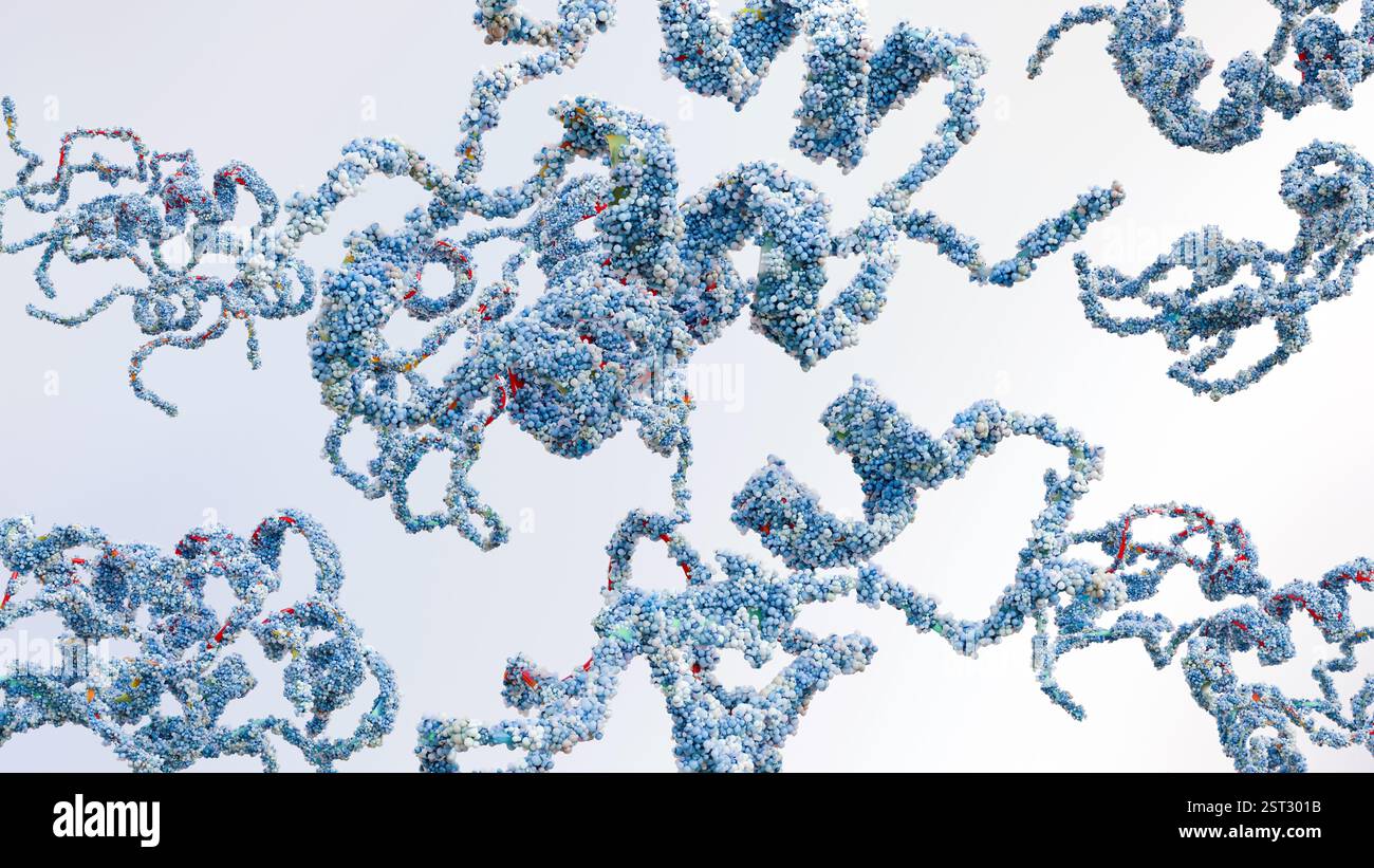 Molecular structure of human Insulin like growth factors, biological ...