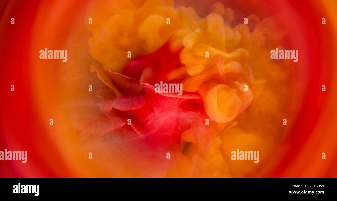 Smoke explosion mist flower hi-res stock photography and images - Alamy