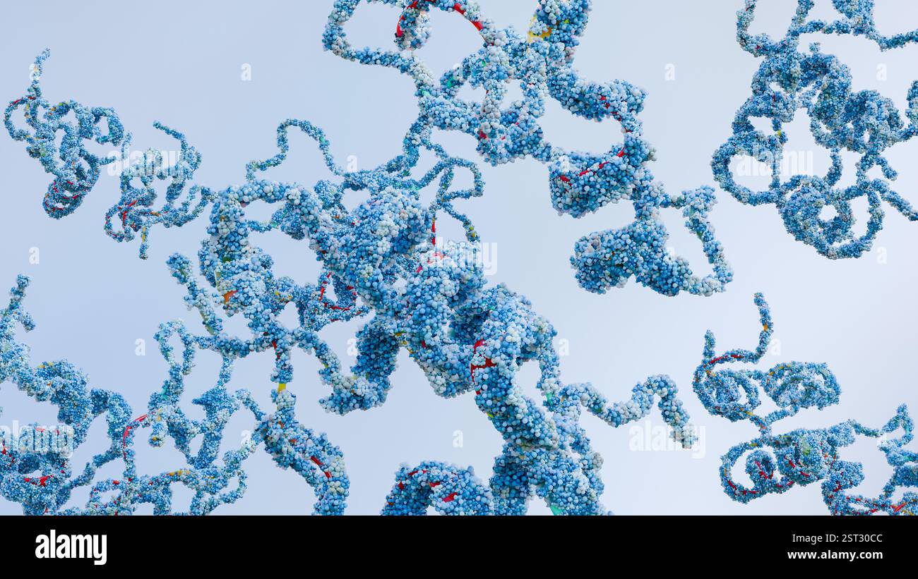 Molecular structure of human Insulin like growth factors, biological ...