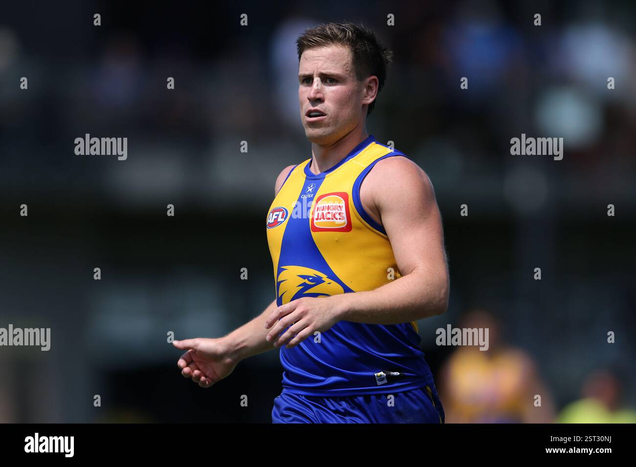 Perth, Australia. 17th Feb, 2025. Matthew Owies of the Eagles is seen ...