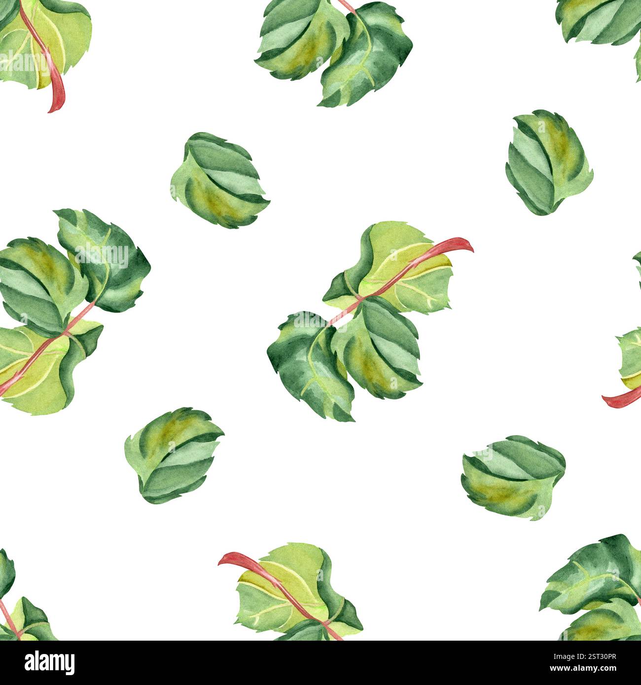 Watercolor rose petals. Seamless pattern of green leaves. The drawing ...