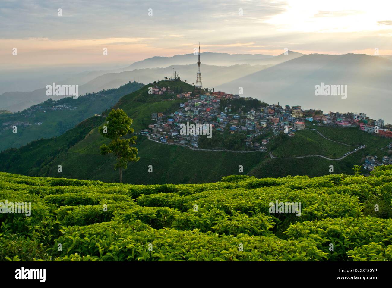 Kurseong during evening Stock Photo - Alamy
