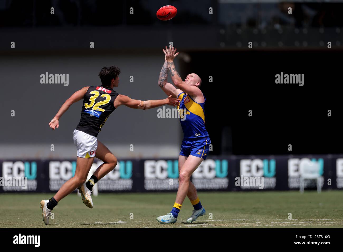 Perth, Australia. 17th Feb, 2025. Samson Ryan of the Tigers and Bailey ...