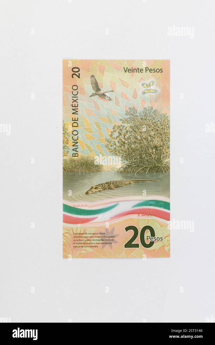 20 peso hi-res stock photography and images - Alamy