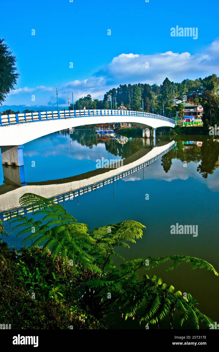 Reflection on silent lake Mirik Stock Photo - Alamy