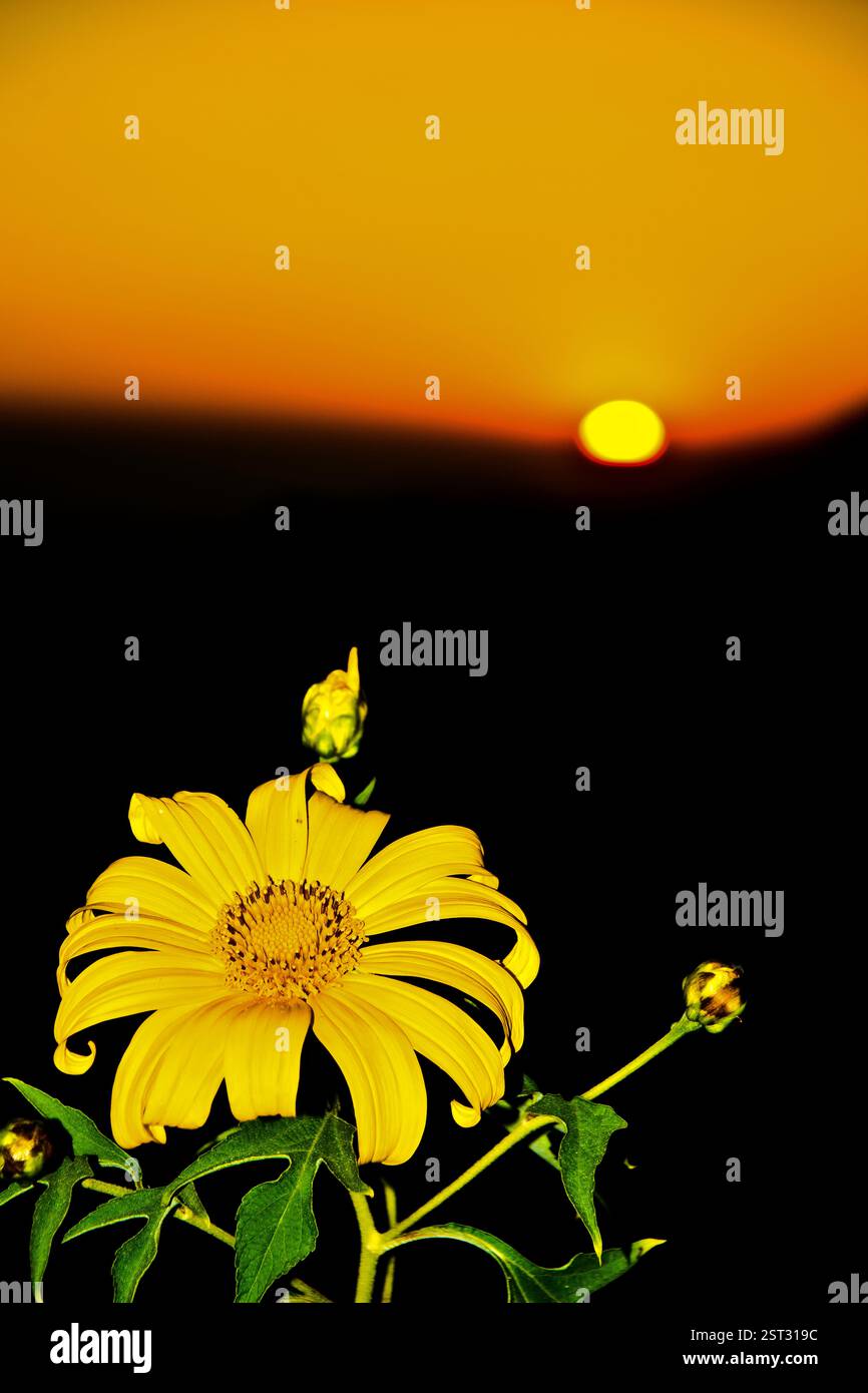 Chasing the last light hi-res stock photography and images - Alamy