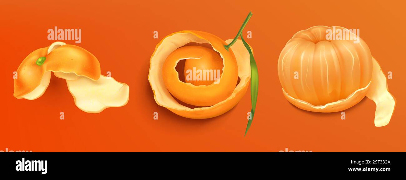 Peeled tangerine segments with curled orange citrus skin in different ...