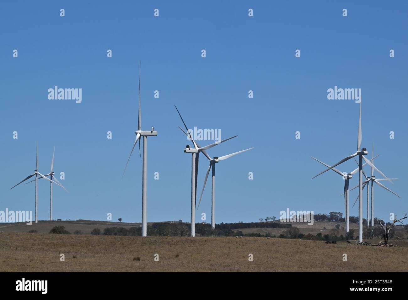 Collector, Australia. 17th Feb, 2025. Power-generating wind turbines ...