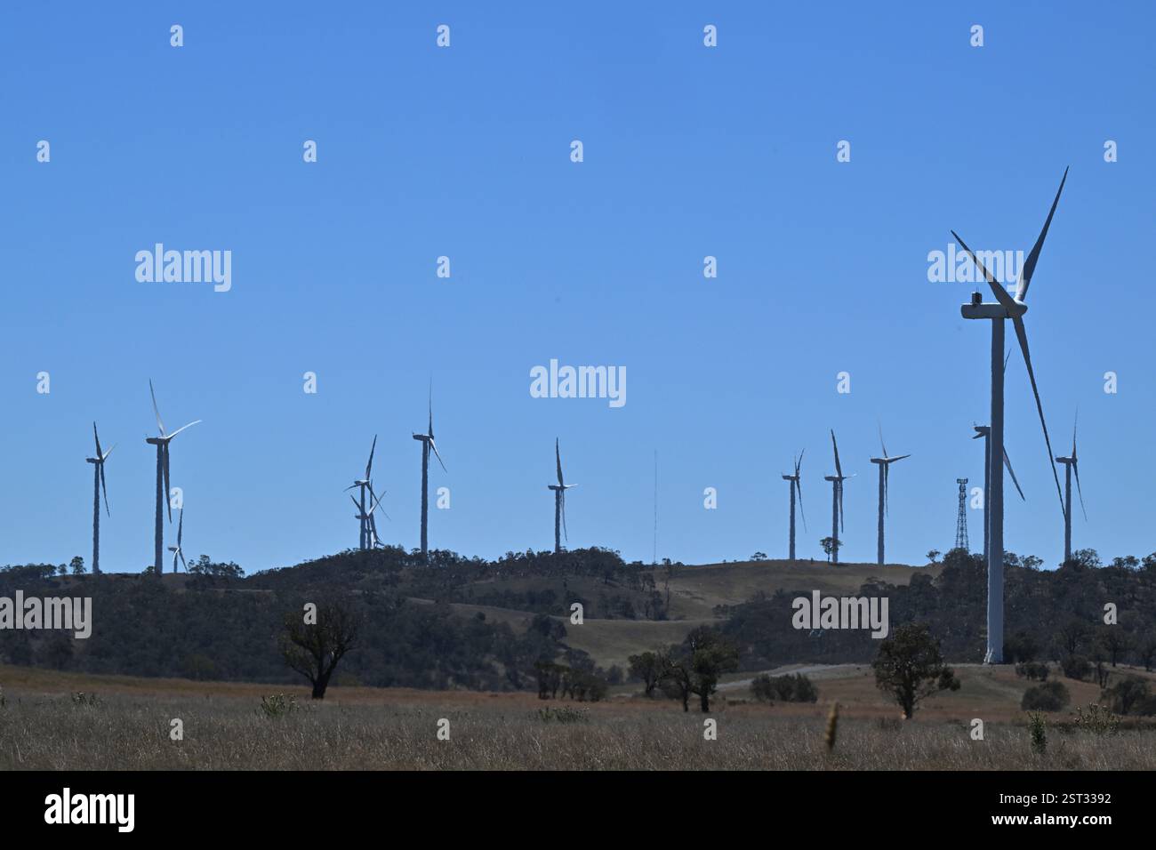 Collector, Australia. 17th Feb, 2025. Power-generating wind turbines ...