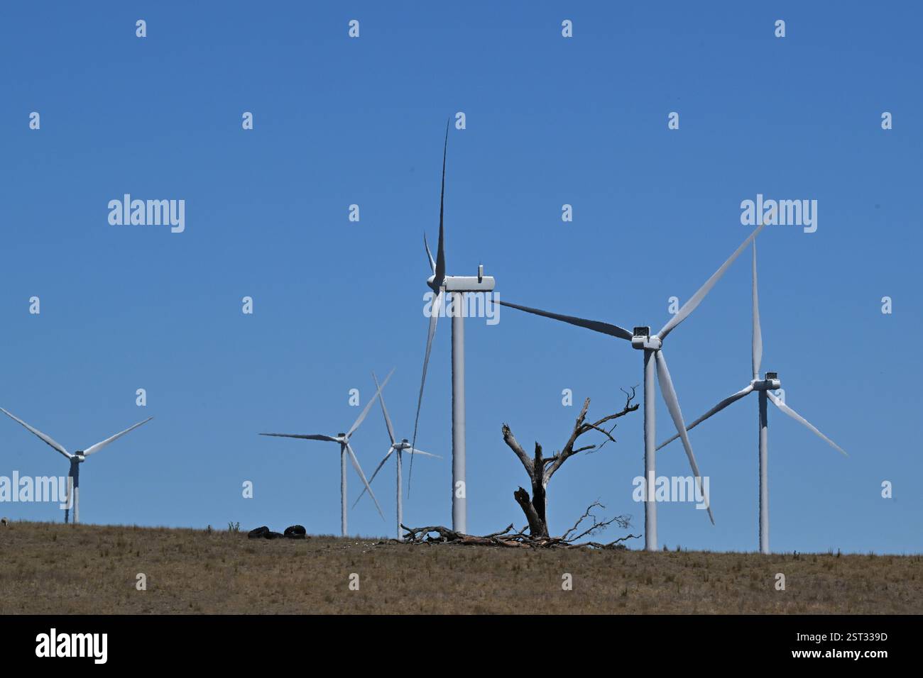 Collector, Australia. 17th Feb, 2025. Power-generating wind turbines ...