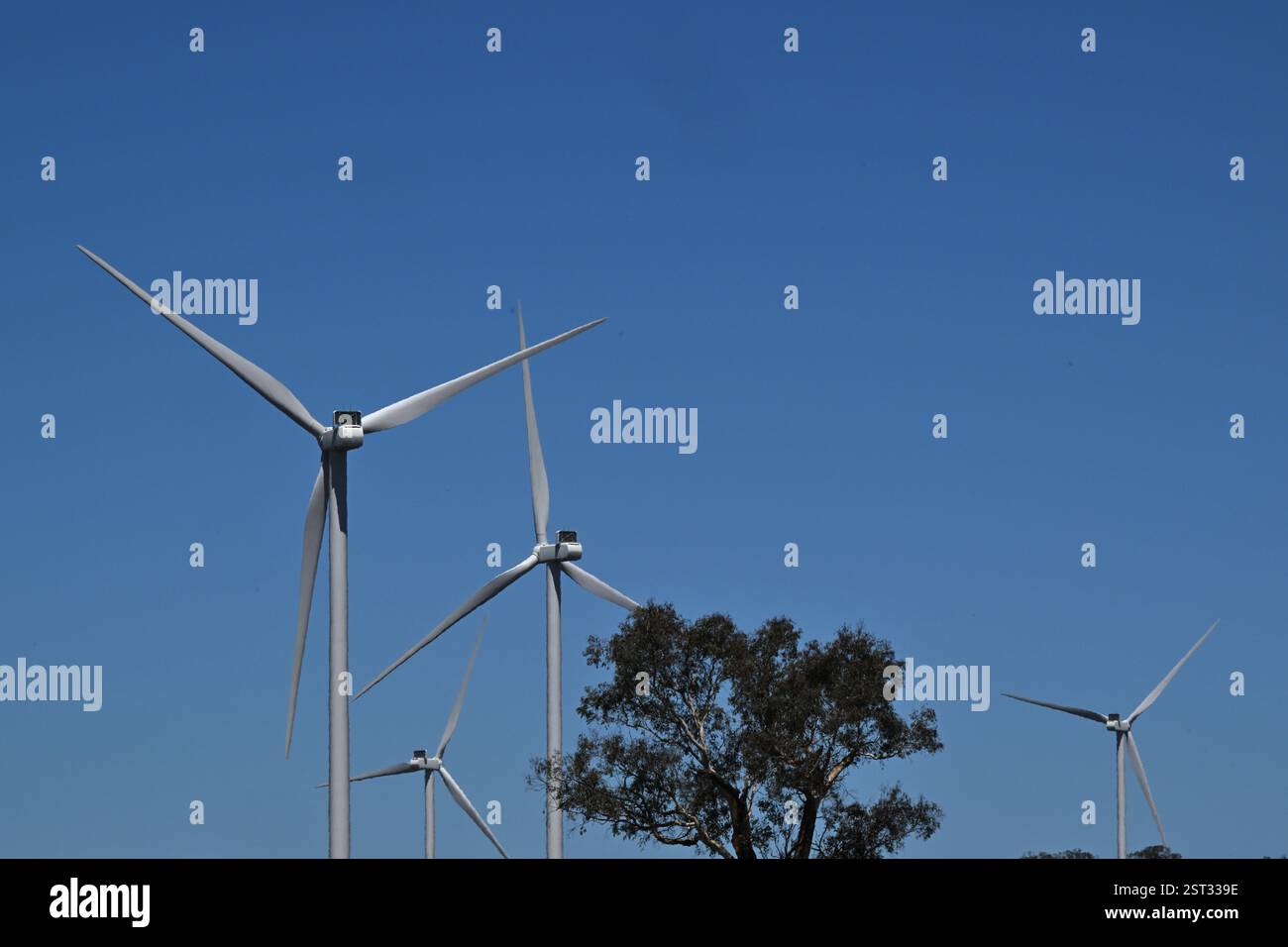 Collector, Australia. 17th Feb, 2025. Power-generating wind turbines ...