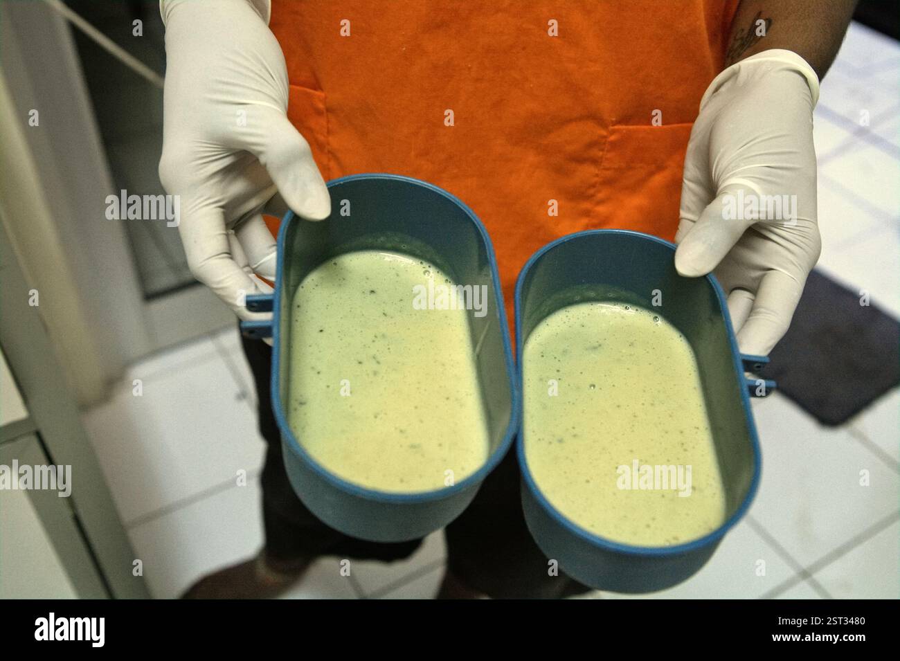 A veterinarian shows supplementary food to be given to a slow loris ...