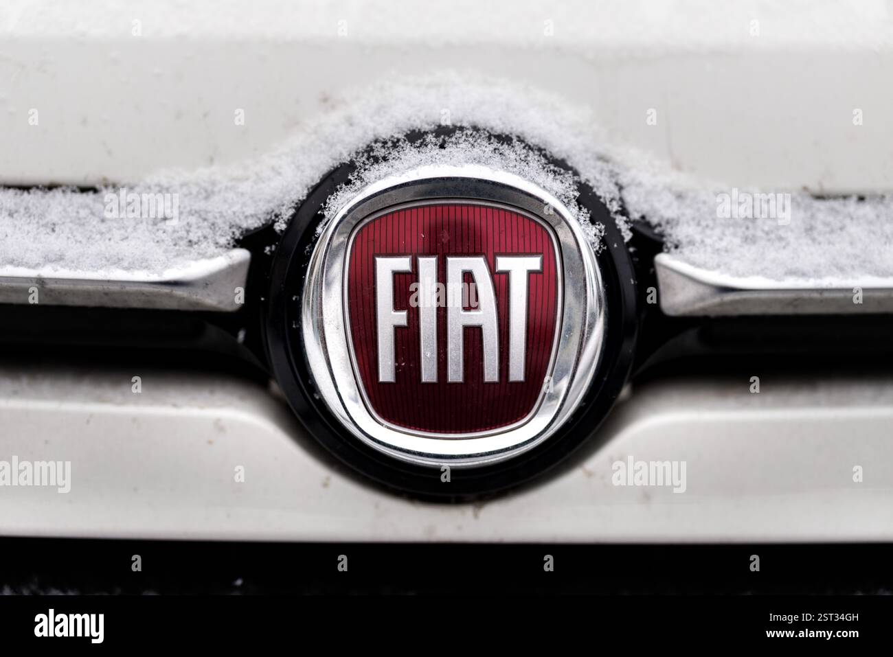 Munich, Germany. 16th Feb, 2025. The Fiat brand logo can be seen on the ...
