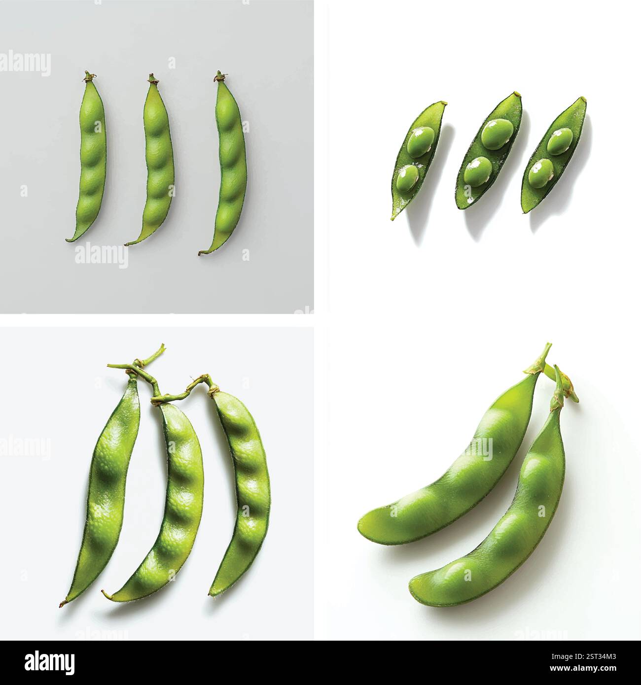 Close up still green Stock Vector Images - Alamy