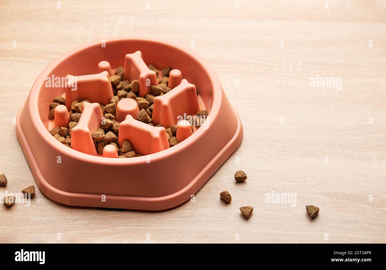 Dry dog kibble food in a slow feeder bowl is placed on a wooden surface ...