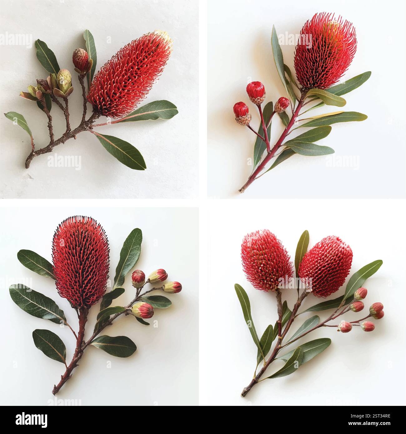 Nature background wildflowers on Stock Vector Images - Alamy