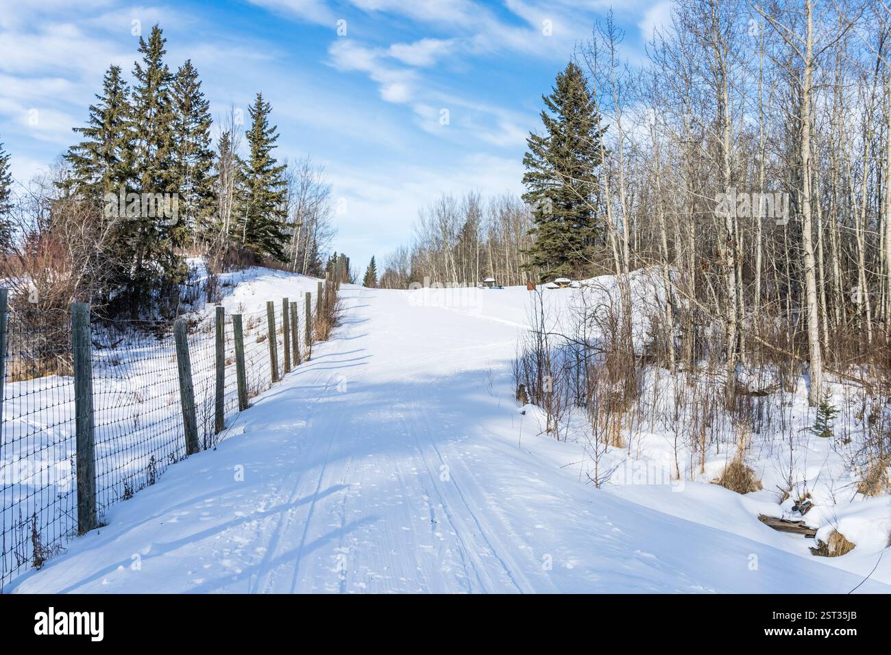 Winter trail at the boundary of Cooking Lake-Blackfoot Provincial ...