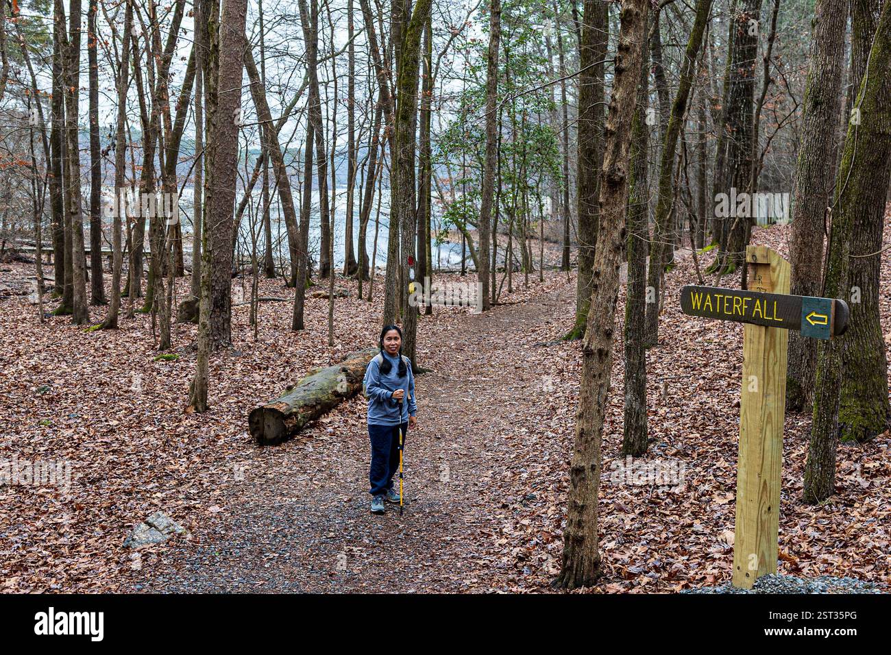 Hiking Falls Branch Trail at Lake Catherine State Park in Hot Springs ...