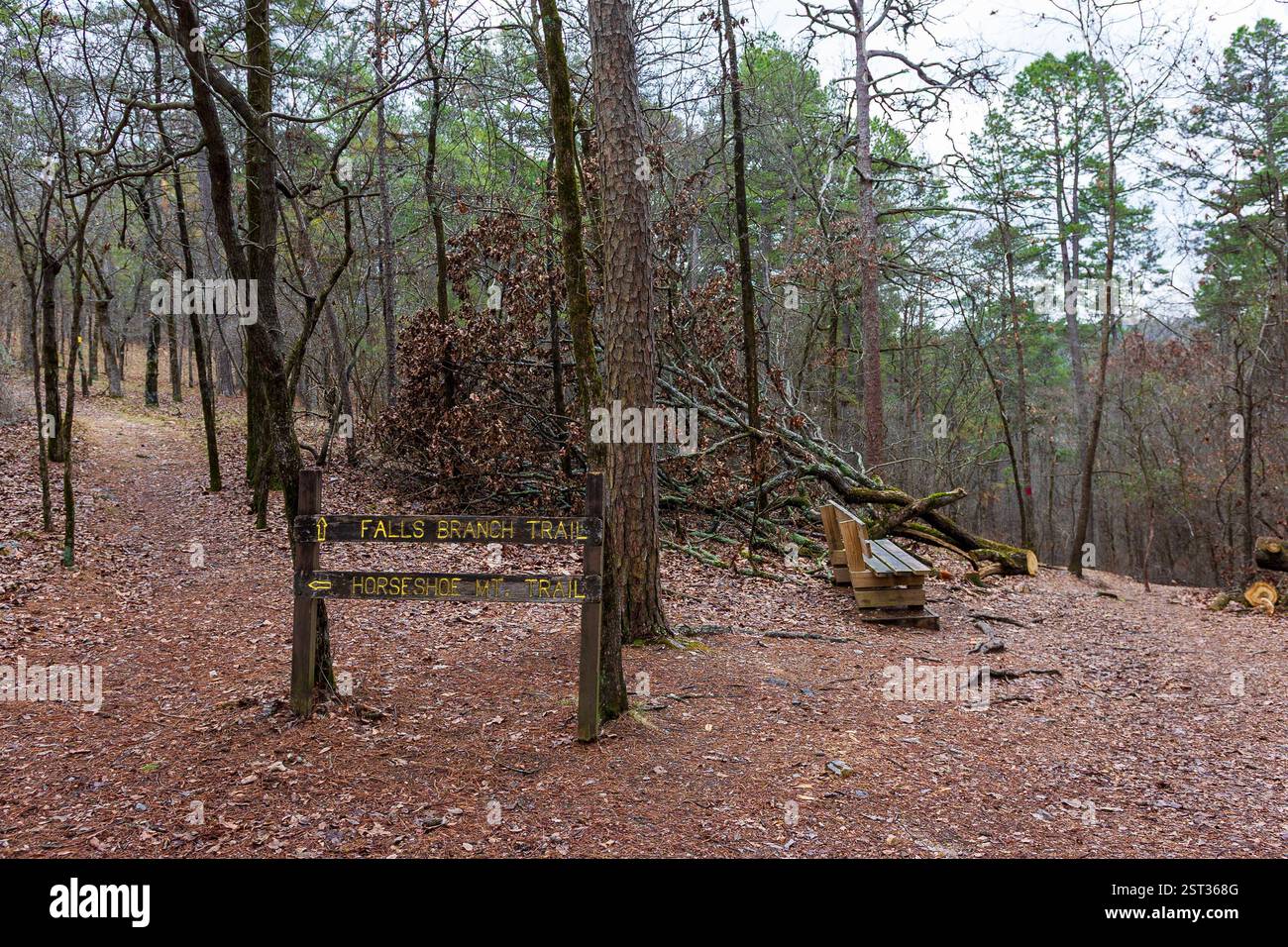 Hiking Falls Branch Trail at Lake Catherine State Park in Hot Springs ...