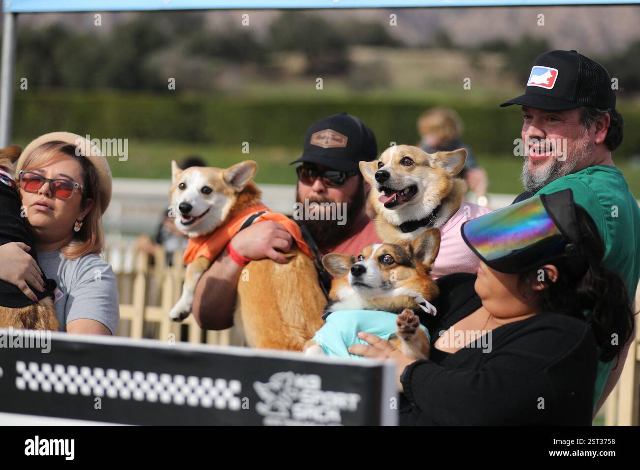Arcadia, USA. 16th Feb, 2025. Corgis and their owners wait to start a ...