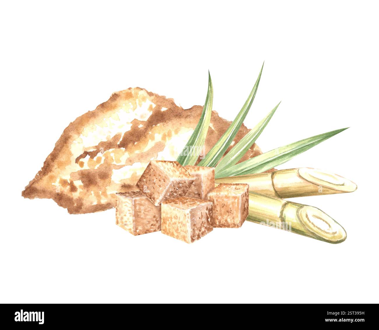 Bunch sugar cane drinks hi-res stock photography and images - Alamy