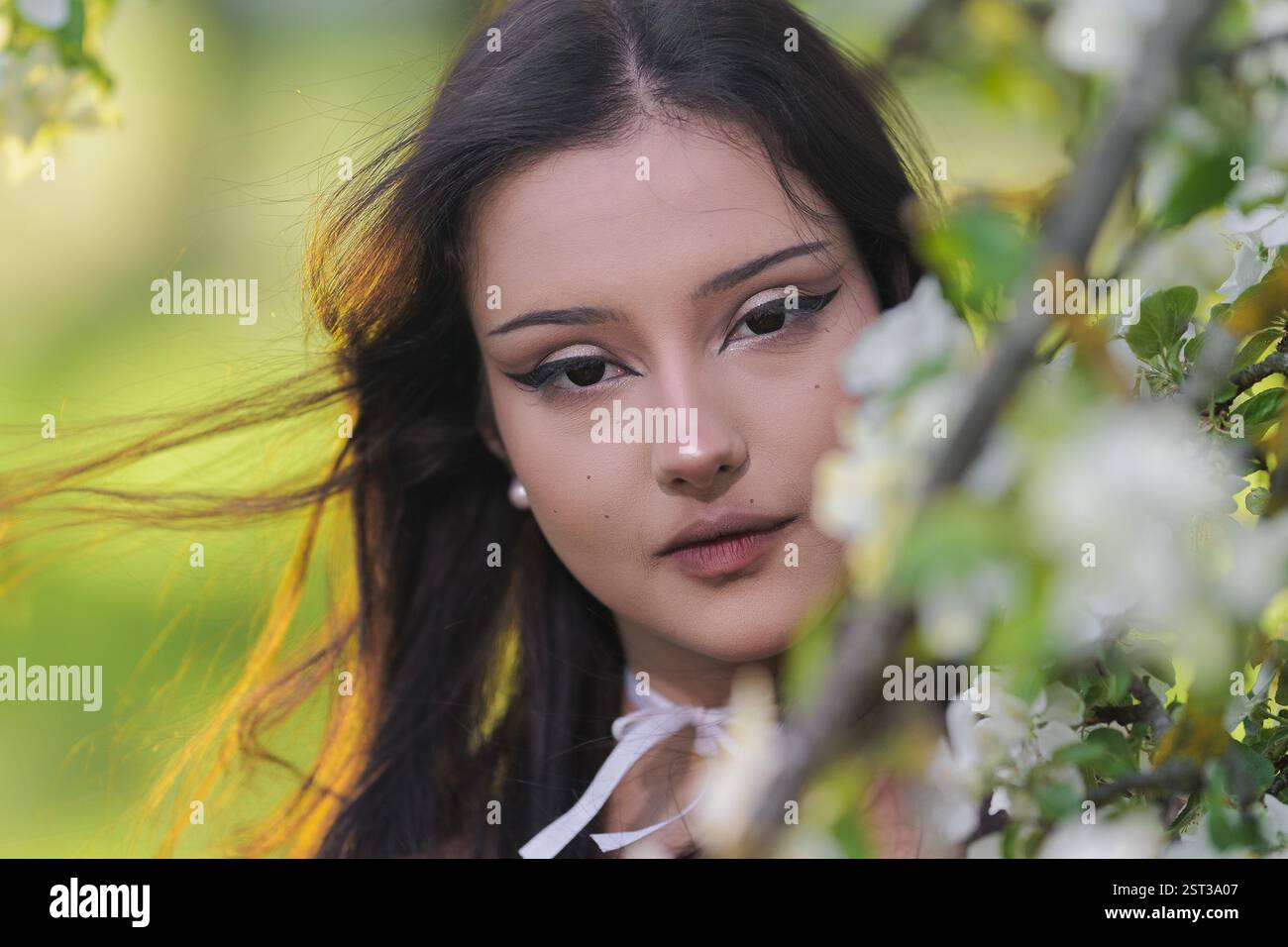 Beautiful Girl with long hair poses near white blossoming apple trees ...