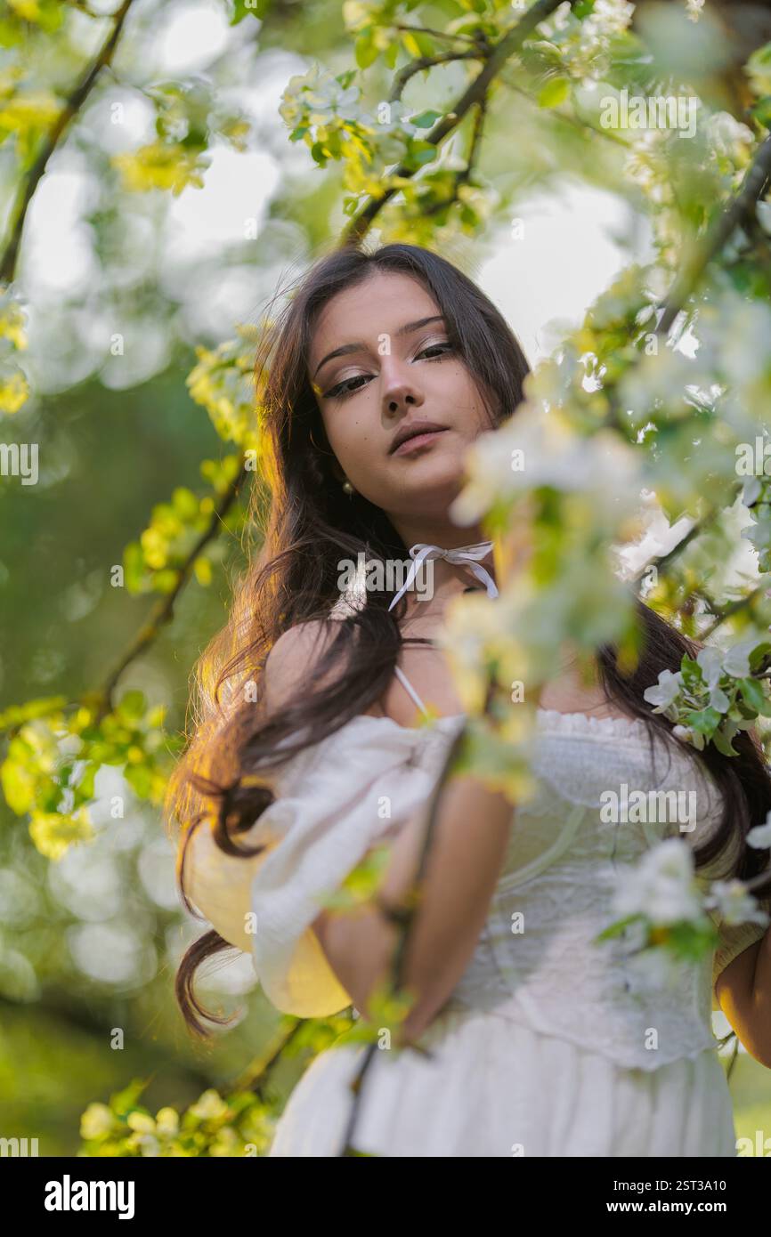 Beautiful Girl with long hair poses near white blossoming apple trees ...
