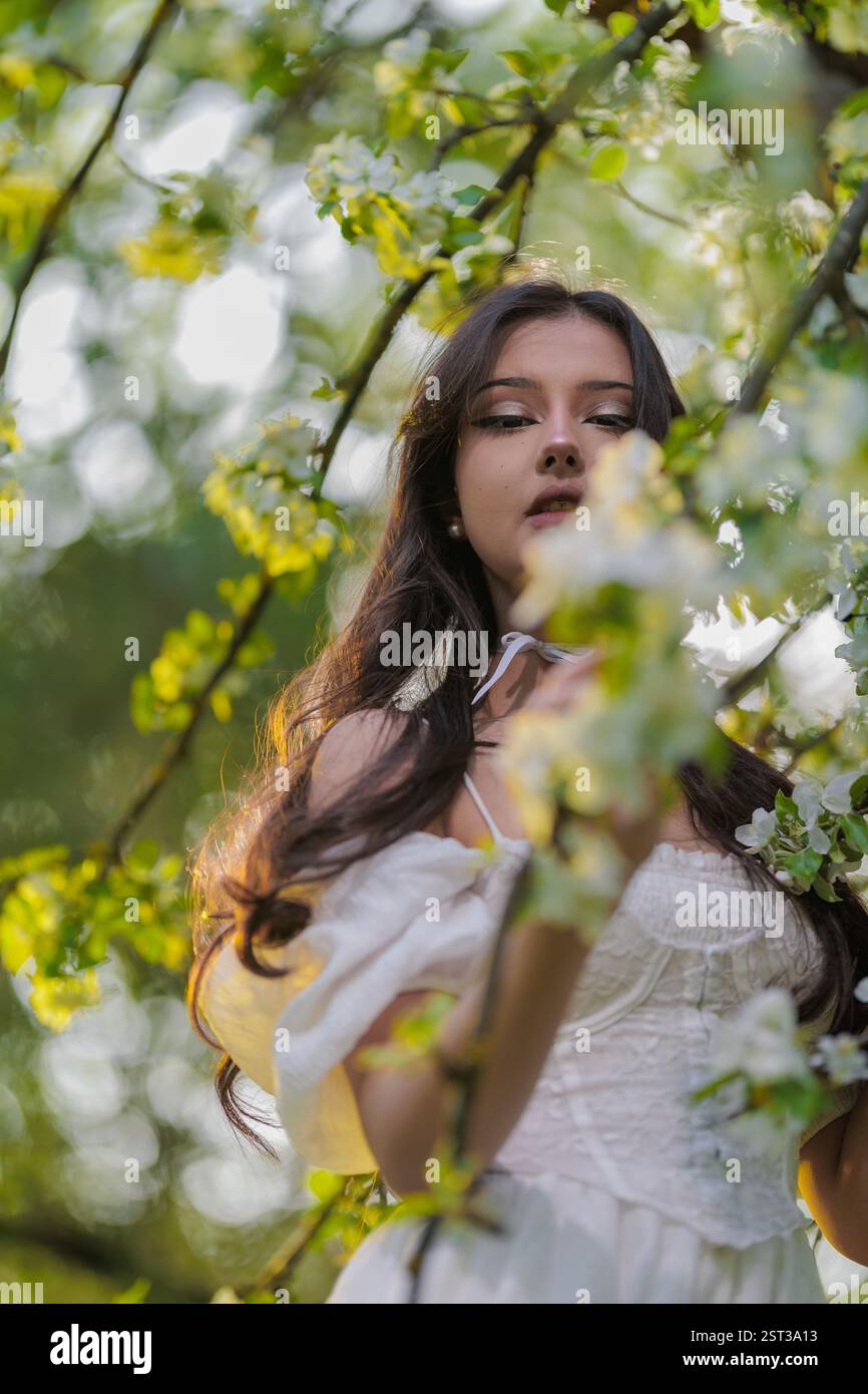 Beautiful Girl with long hair poses near white blossoming apple trees ...