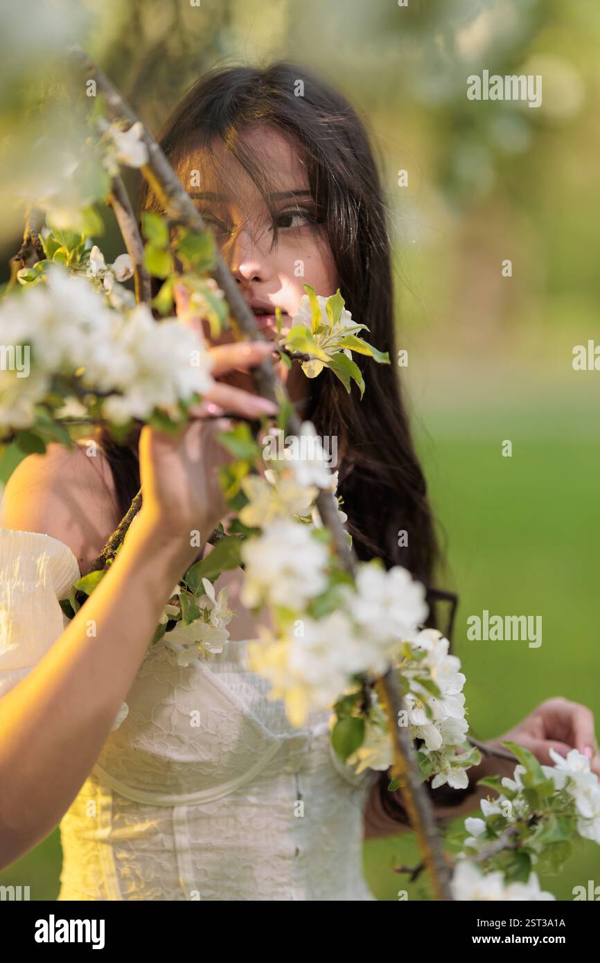 Beautiful Girl with long hair poses near white blossoming apple trees ...