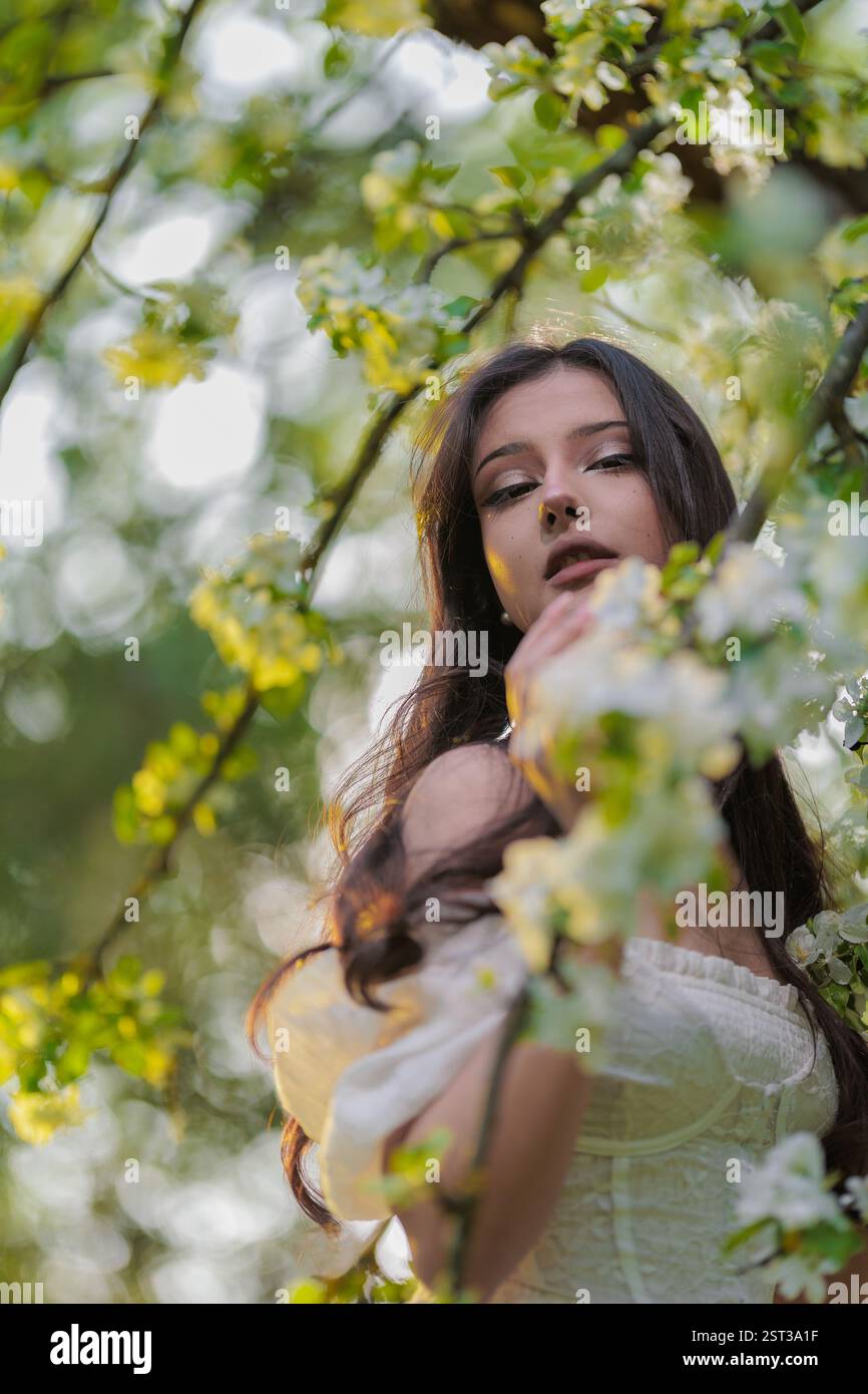 Beautiful Girl with long hair poses near white blossoming apple trees ...