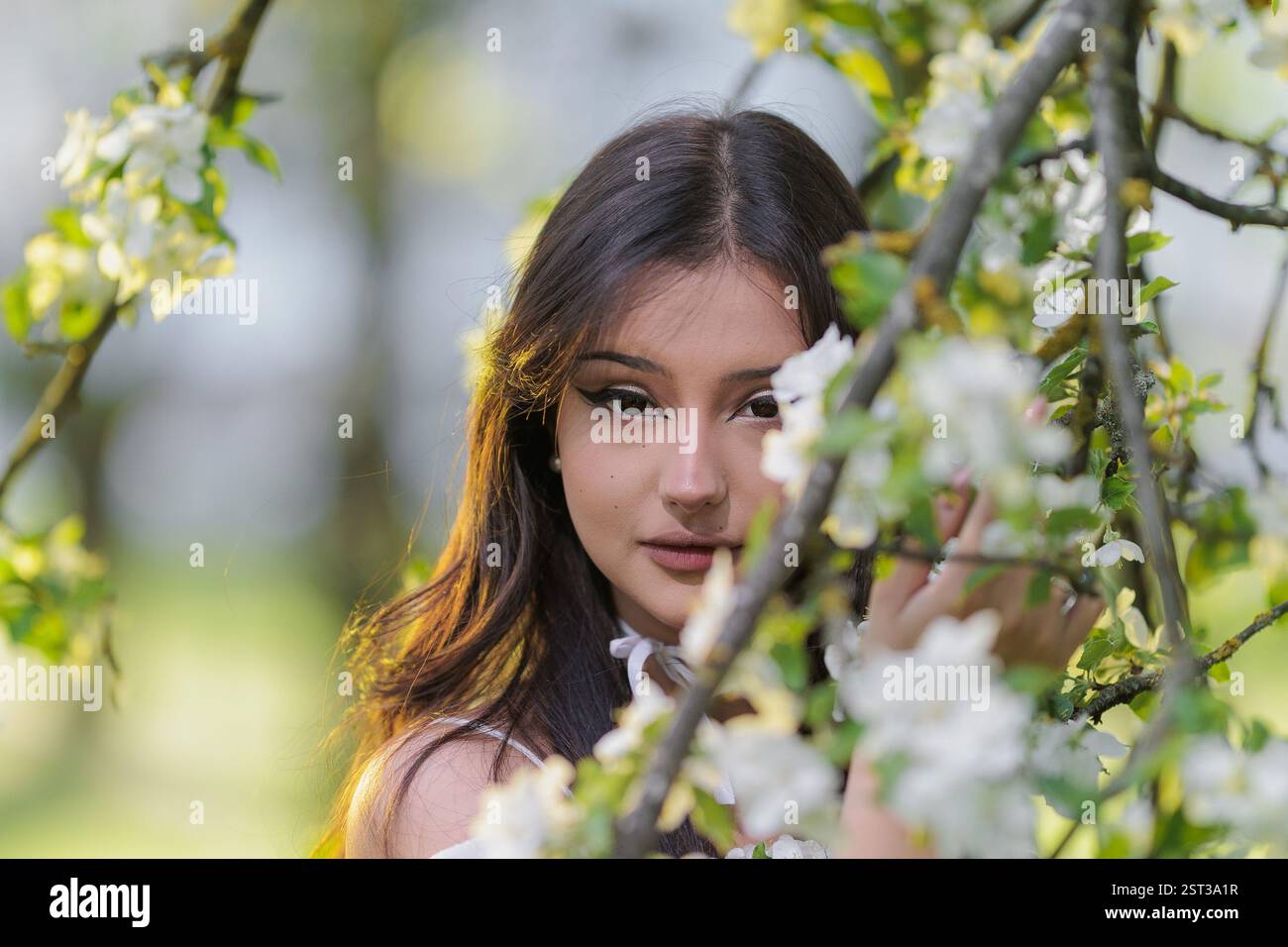 Beautiful Girl with long hair poses near white blossoming apple trees ...