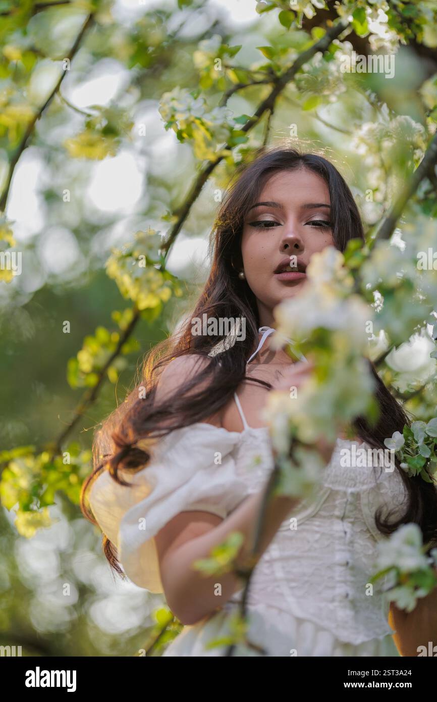 Beautiful Girl with long hair poses near white blossoming apple trees ...