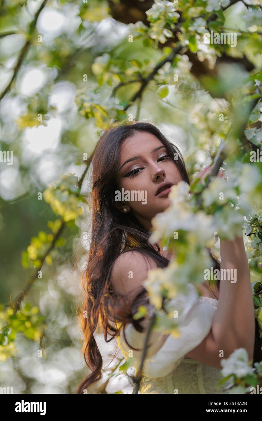 Beautiful Girl with long hair poses near white blossoming apple trees ...