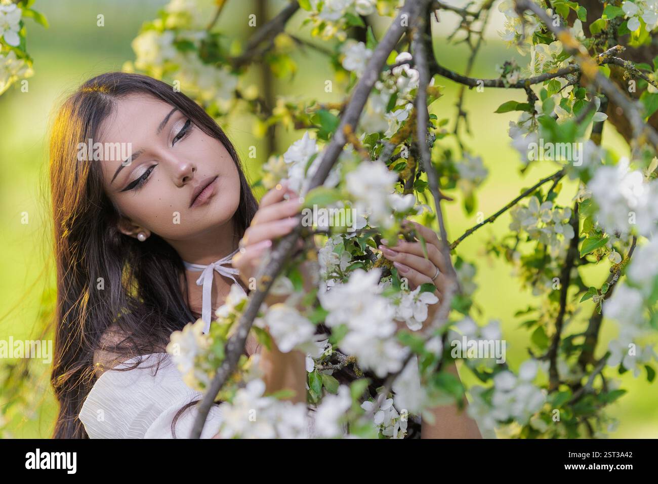 Beautiful Girl with long hair poses near white blossoming apple trees ...