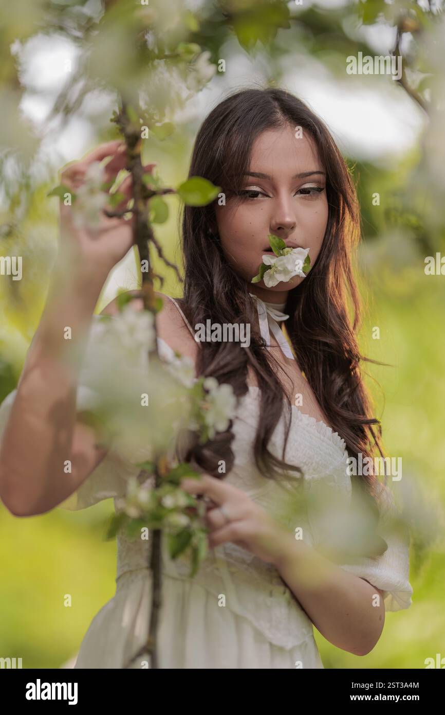 Beautiful Girl with long hair poses near white blossoming apple trees ...