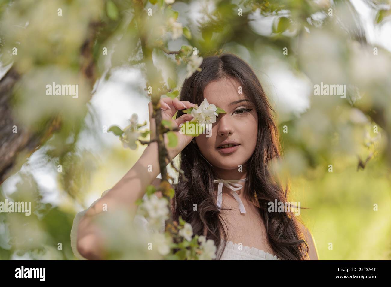 Beautiful Girl with long hair poses near white blossoming apple trees ...